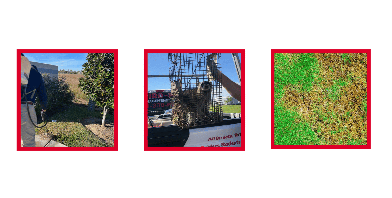 Enviro-Pest Management